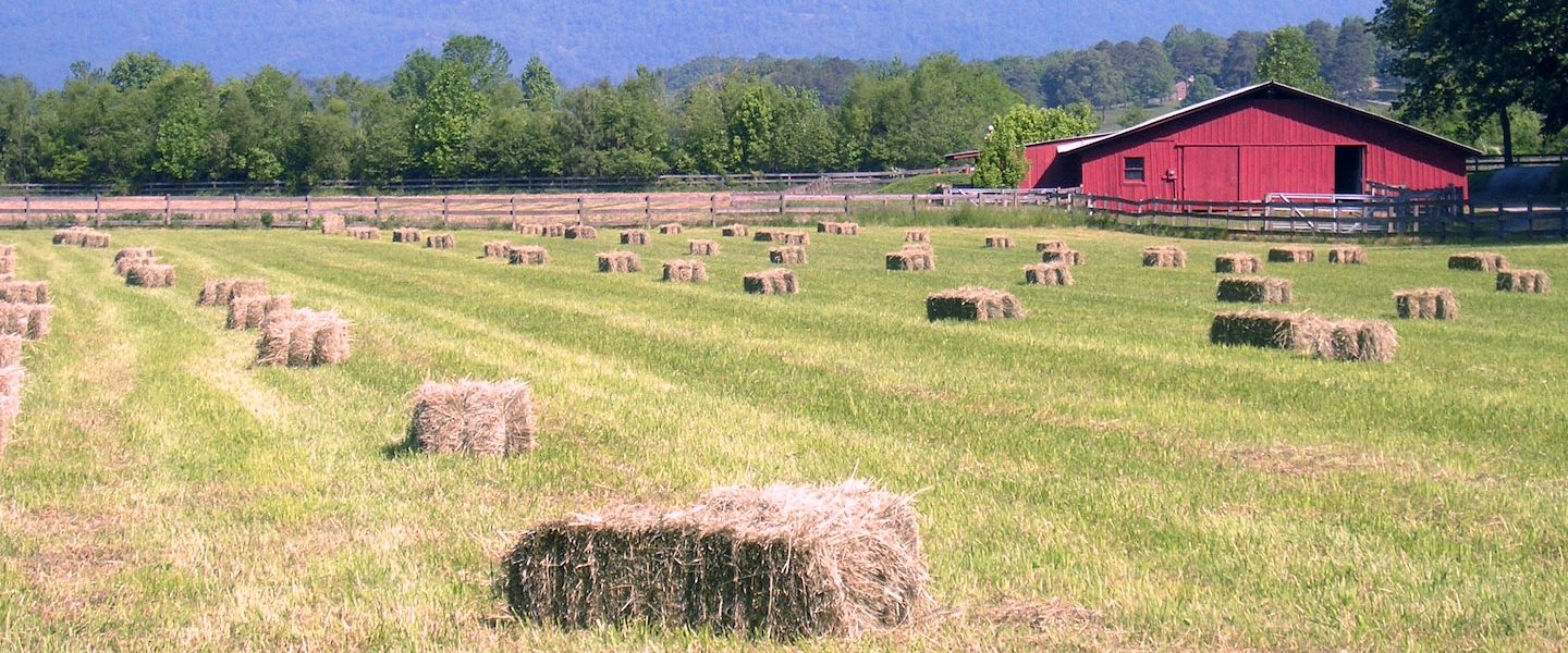 Rural land is disappearing: What's SC doing about it? | Upstate Forever