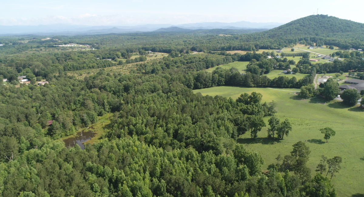 Bryson Children's Nature Walk: a model of child-first conservation ...