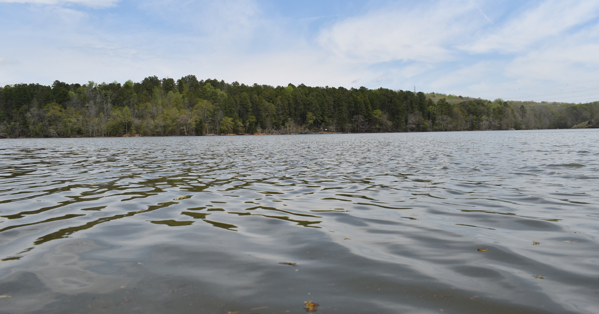 Conservation Success Stories | Twelve Mile River Restoration