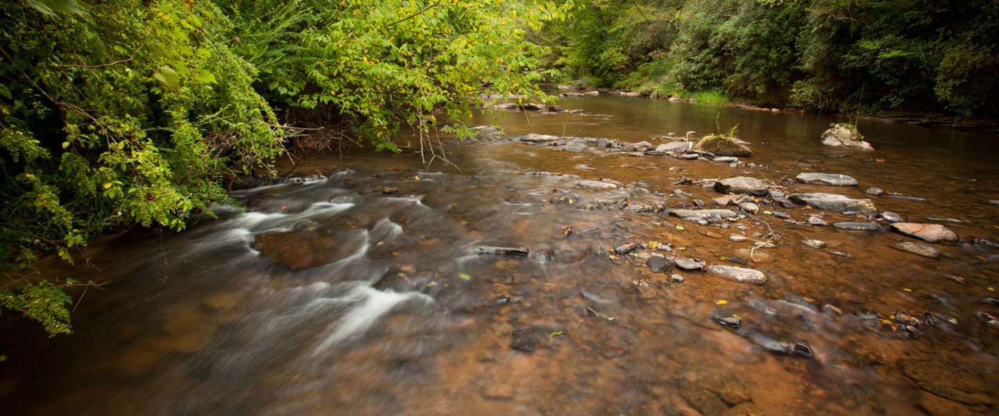 Clean Water 101: Intro to River Contaminants